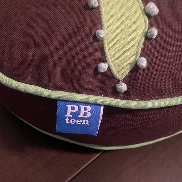 Pottery Barn Teen | Accents | Pottery Barn Turtle Throw Pillow | Poshmark